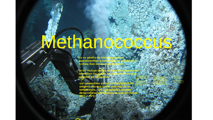 Methanococcus by vladimir espinal on Prezi