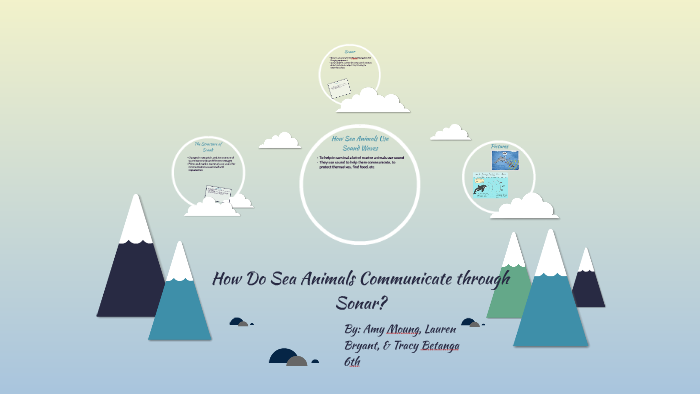 How Do Sea Animals Communicate through Sonar? by amy moung on Prezi
