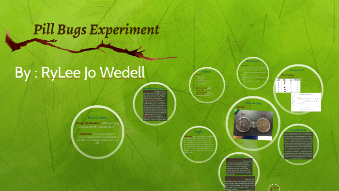 Pill Bugs Experiment by RyLee Wedell on Prezi