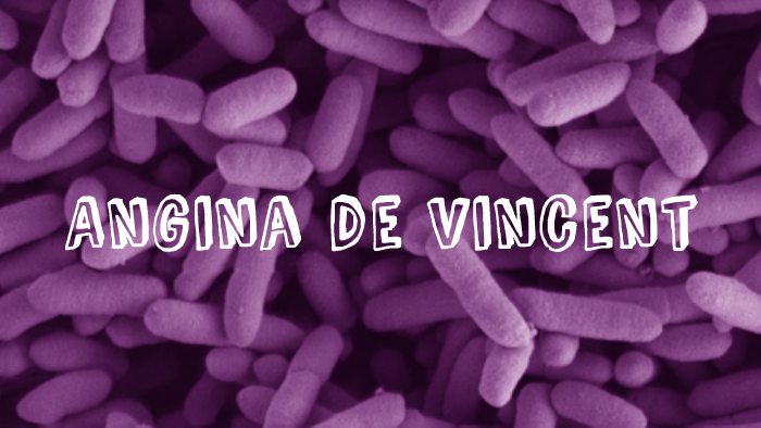 Angina de Vincent by Marisol Introssi on Prezi