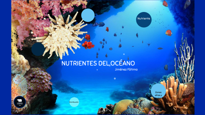 Nutrientes en el océano by Fátima Jiménez on Prezi