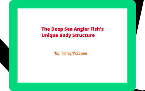The Deep Sea Angler Fish's Unique Body Structure by Torrey McCollum on ...