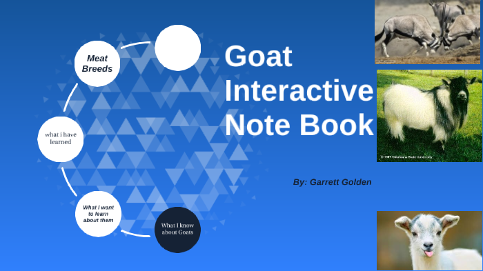 Goat Interactive Note Book by Garrett Golden on Prezi