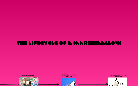 Life cycle of a marshmallow by austin eberwein on Prezi