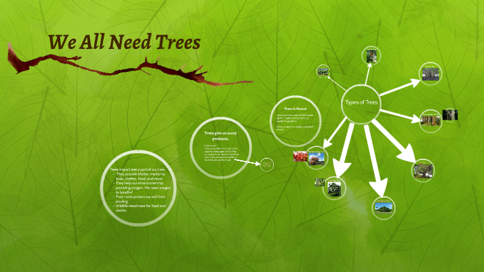 We All Need Trees by Melissa Peck on Prezi