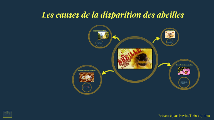 Et Si Les Abeilles Disparaissaient By Julien Recoura On Prezi