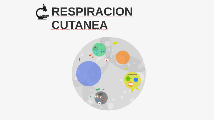RESPIRACION CUTANEA by Daniel Alejandro Aponte Pulido on Prezi