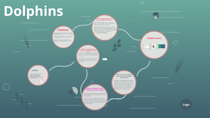 Dolphin senses by Felipe Villamil on Prezi
