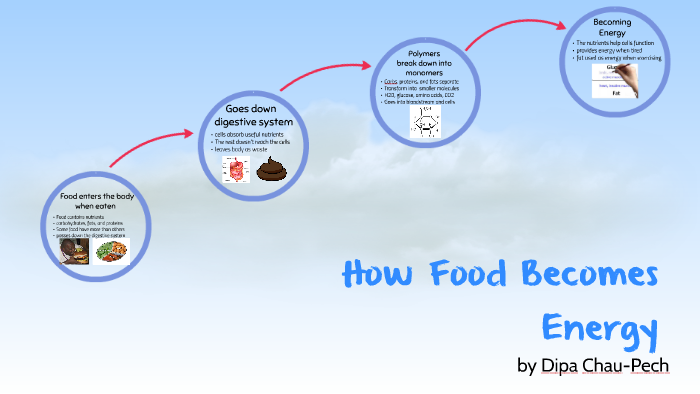 How Food Becomes Energy by Dipa Chau-Pech on Prezi