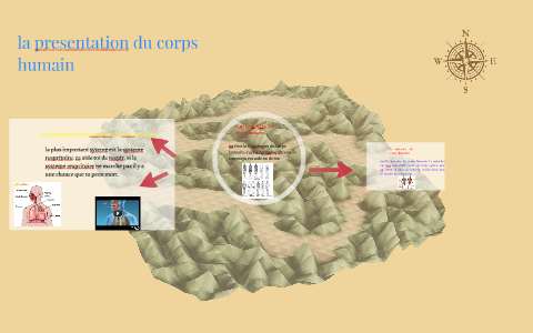 le presentation du corps humain by Hannah George on Prezi
