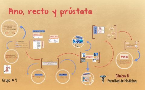 Ano, recto y próstata by Ramirez Michell on Prezi