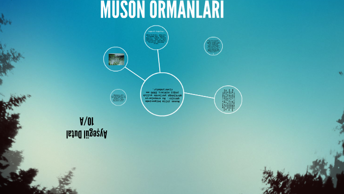 MUSON ORMANLARI by Mehmet Tunç on Prezi