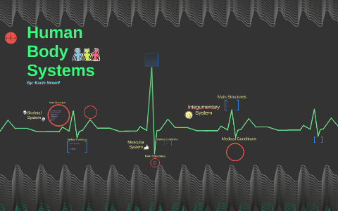 Human Body Systems by Kacie Newell on Prezi
