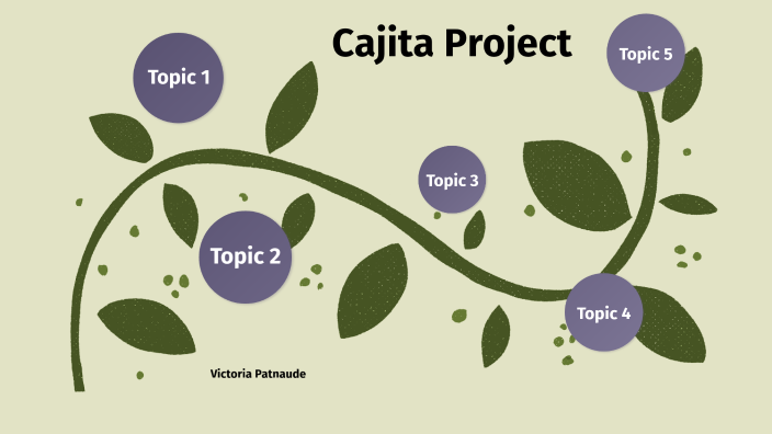 Cajita Project by Victoria Patnaude on Prezi