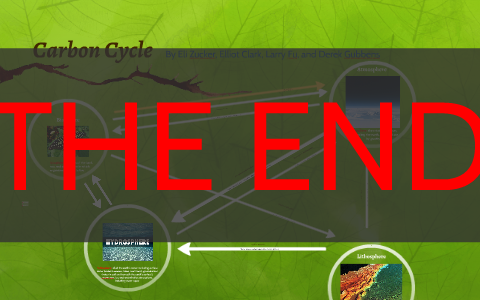 Carbon Cycle by Eli Zucker on Prezi