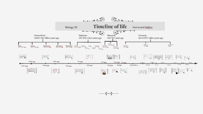 Timeline of life by kaitlyn howden on Prezi