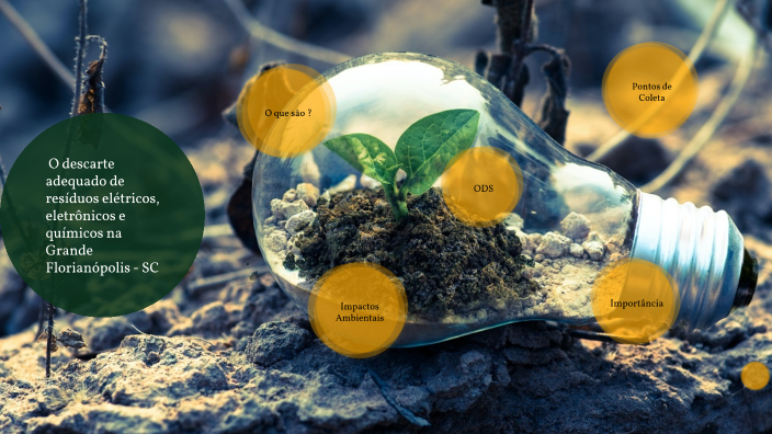 Conservação by Sabrina Ebert on Prezi