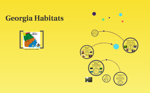 Georgia Habitats by Martha Hill on Prezi