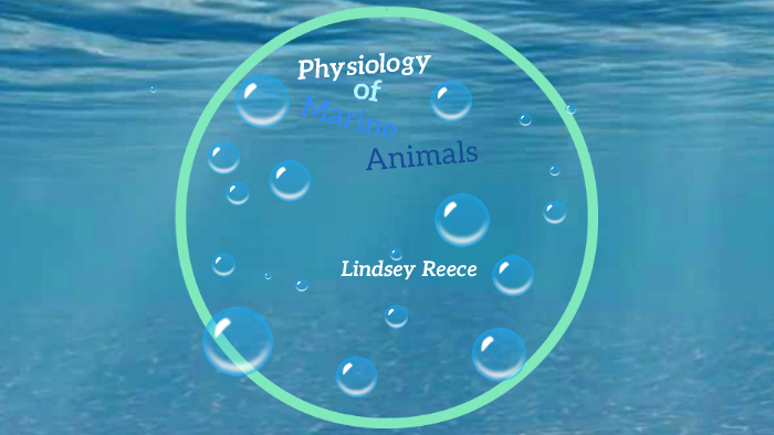 Physiology of Marine Animals by Lindsey Reece
