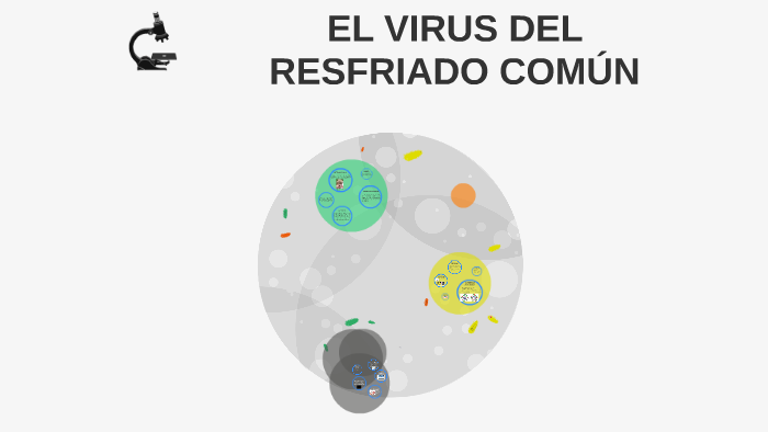 EL VIRUS DEL RESFRIADO COMÚN by Paula Andrea on Prezi