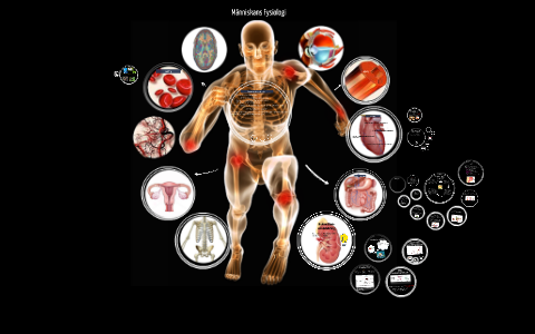 Människans Fysiologi by Zoe Borg on Prezi