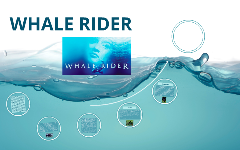 WHALE RIDER by Sandy Anh Pham on Prezi
