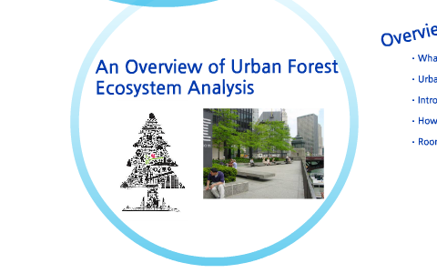 Urban Forest Ecosystem Analysis By Mike Alonzo On Prezi