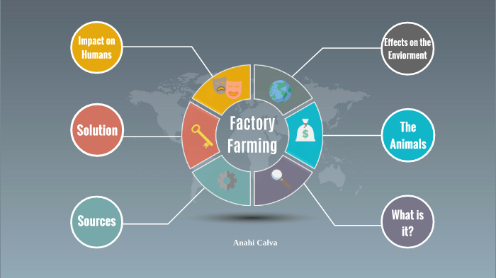 Factory Farming by Anahi Calva on Prezi