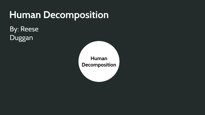 timeline of human decomposition by reese duggan on Prezi