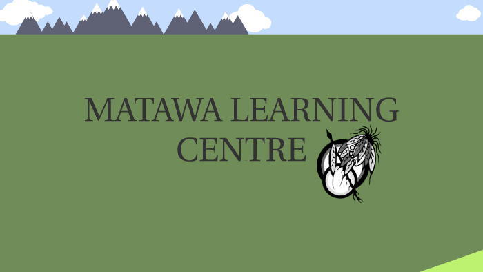 Matawa Learning Centre's Business and Strategic Plan Recommendation ...