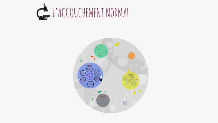 L’ACCOUCHEMENT NORMAL by wal chari on Prezi