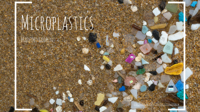 Microplastics Multimodal Project by Bradford Godkin on Prezi