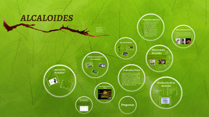 ALCALOIDES by daniela torres on Prezi