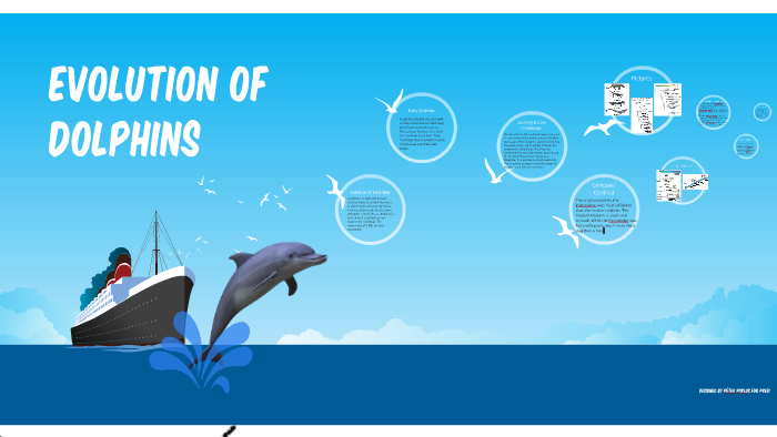 Evolution of Dolphins by Cami Maiorana on Prezi