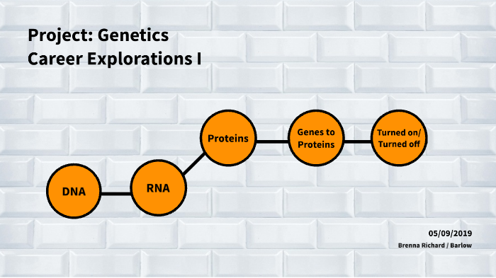 Project: Genetics by Brenna Richard on Prezi
