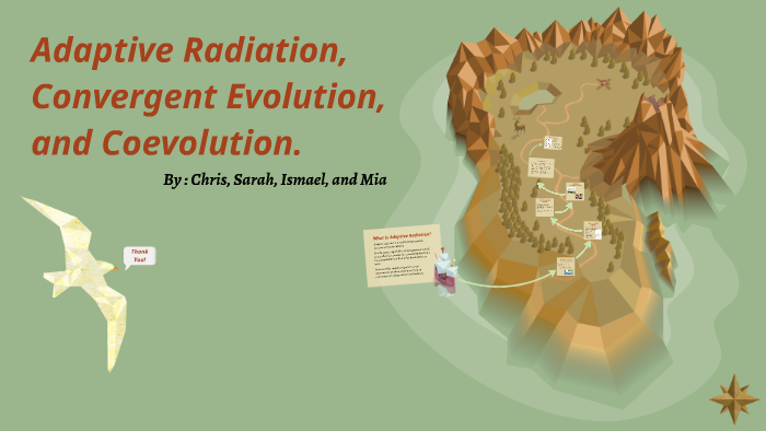 Adaptive Radiation, Convrgent Evolution, and Coevolution. by Prezi ...