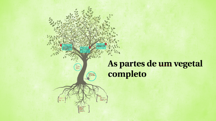 As partes de um vegetal completo by Rosana Mello on Prezi