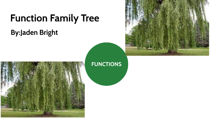 Function Family Tree by Jaden Bright on Prezi