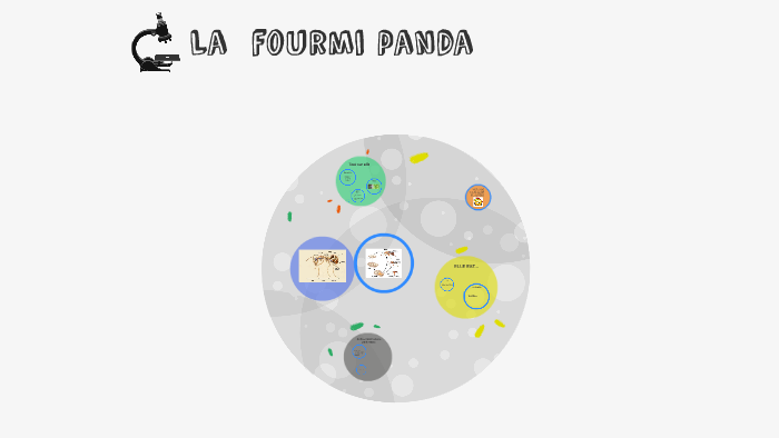 La fourmi panda by marie-Anna Ferland on Prezi