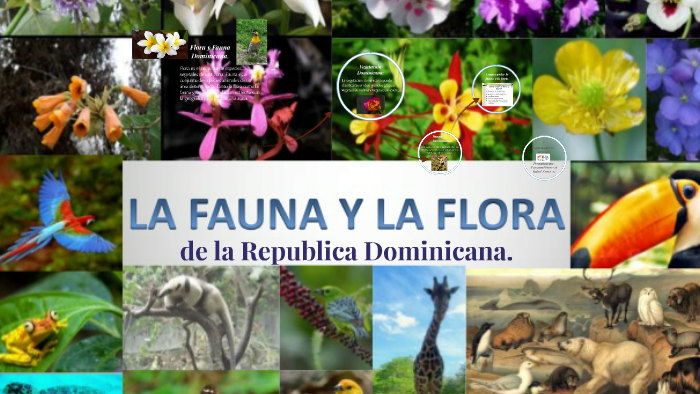 Flora y Fauna de la Republica Domincana. by Rafael Fco Nuñez Genao on Prezi