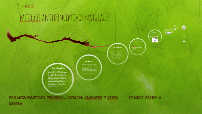 metodos anticonceptivos naturales by on Prezi