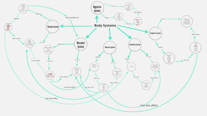 Body Systems Concept Map by Cerissa Giglio on Prezi