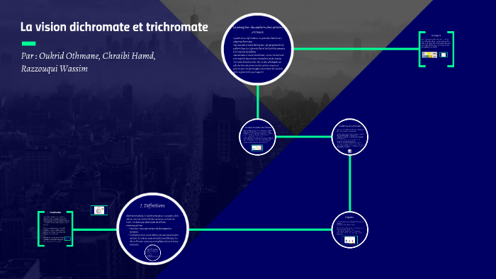 La vision dichromate et trichromate by Wassim Razzouqui on Prezi