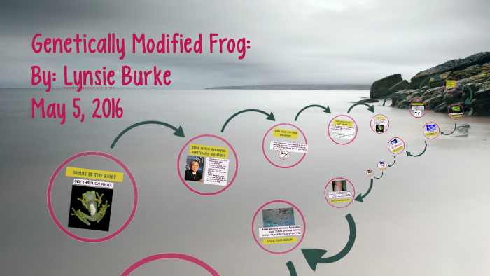 Genetically Modified Frog: by Lynsie Burke on Prezi