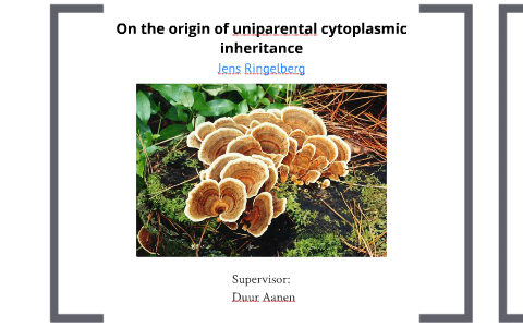 On the origin of uniparental cytoplasmic inheritance by Jens Ringelberg ...