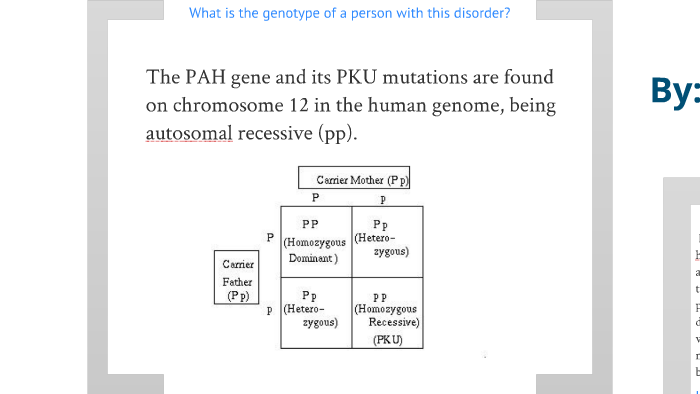 PKU Poster by Benjamin Bernarding on Prezi