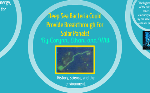 Deep Sea Bacteria by Corynn W on Prezi