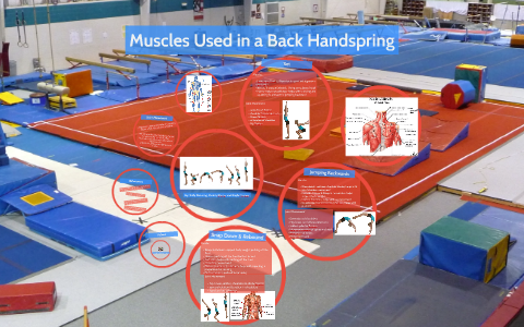 The Anatomy of the Back Handspring by Christy R on Prezi