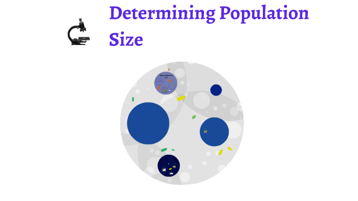 Determining Population Size by brooke metcalf on Prezi