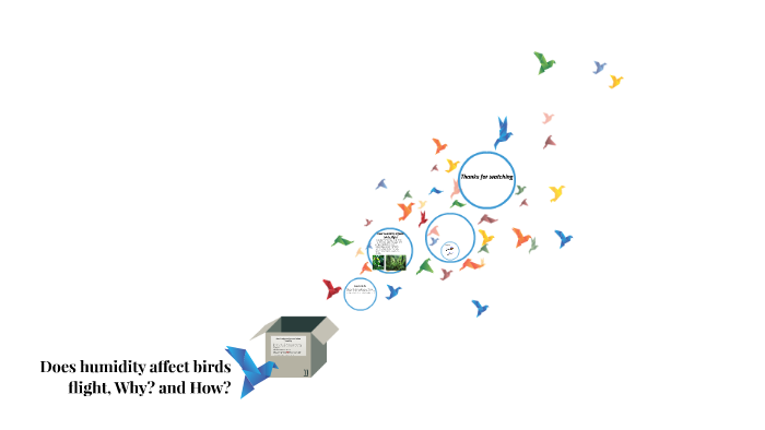 Does humidity affect birds flight, Why? and How? by Nalani lopes on Prezi